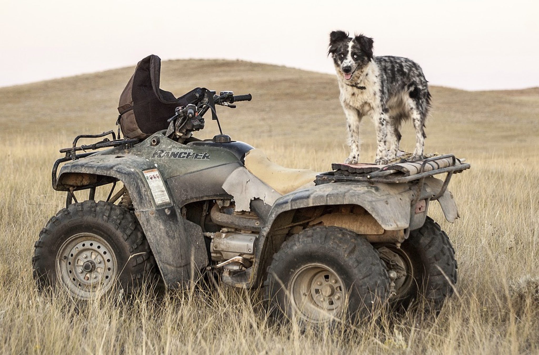 Things to Know Before Buying an ATV